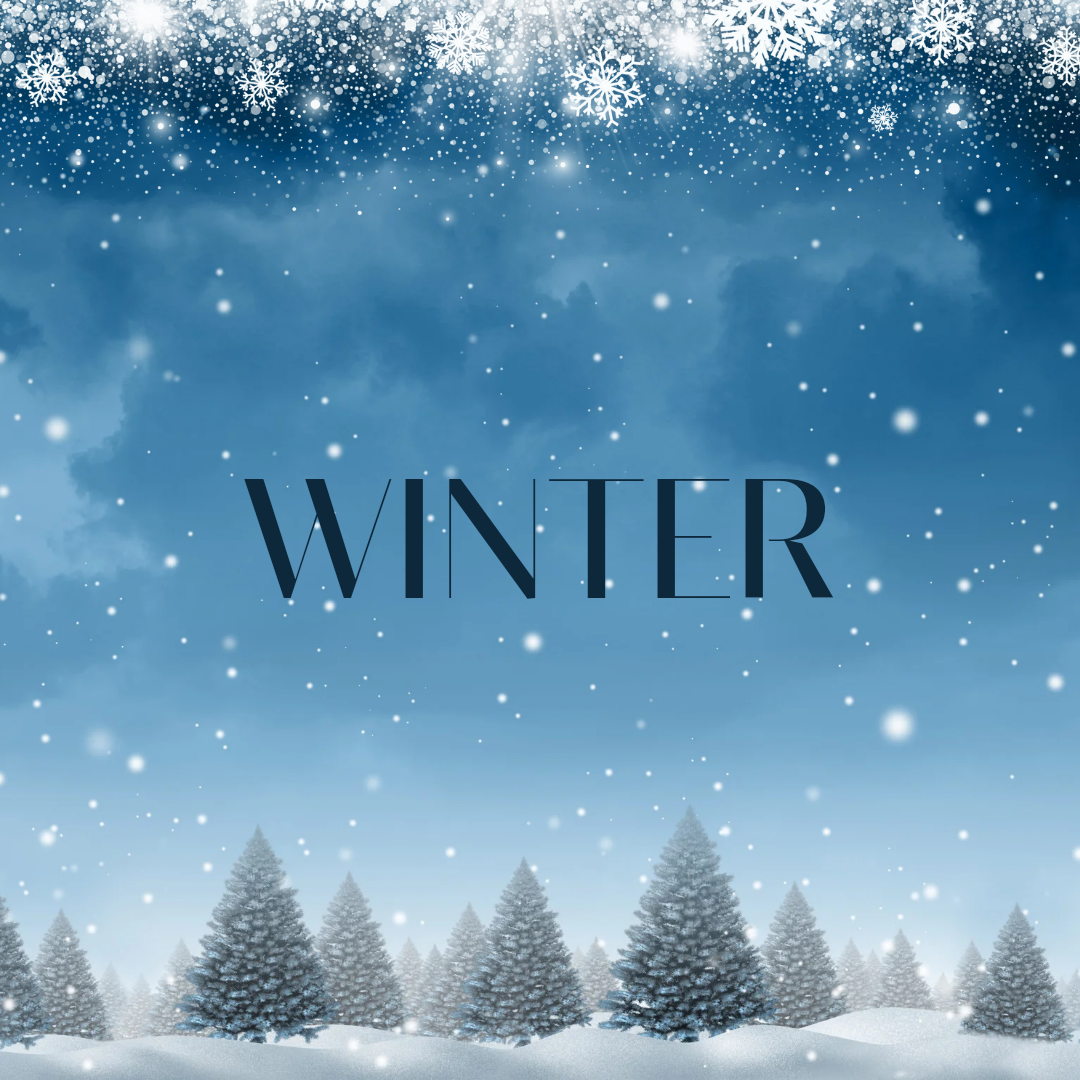 Winter bbw type fragrance oil – wnbm smelz good