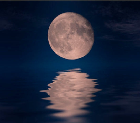 want need buy make smelzgood – wnbm smelz good